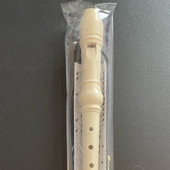 Other | Plastic Soprano Recorder | Poshmark
